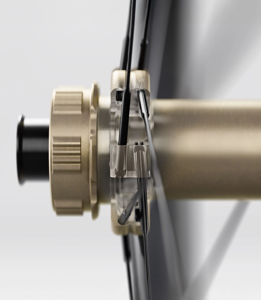 RP50LTD Shimano MS Rear | Orbea